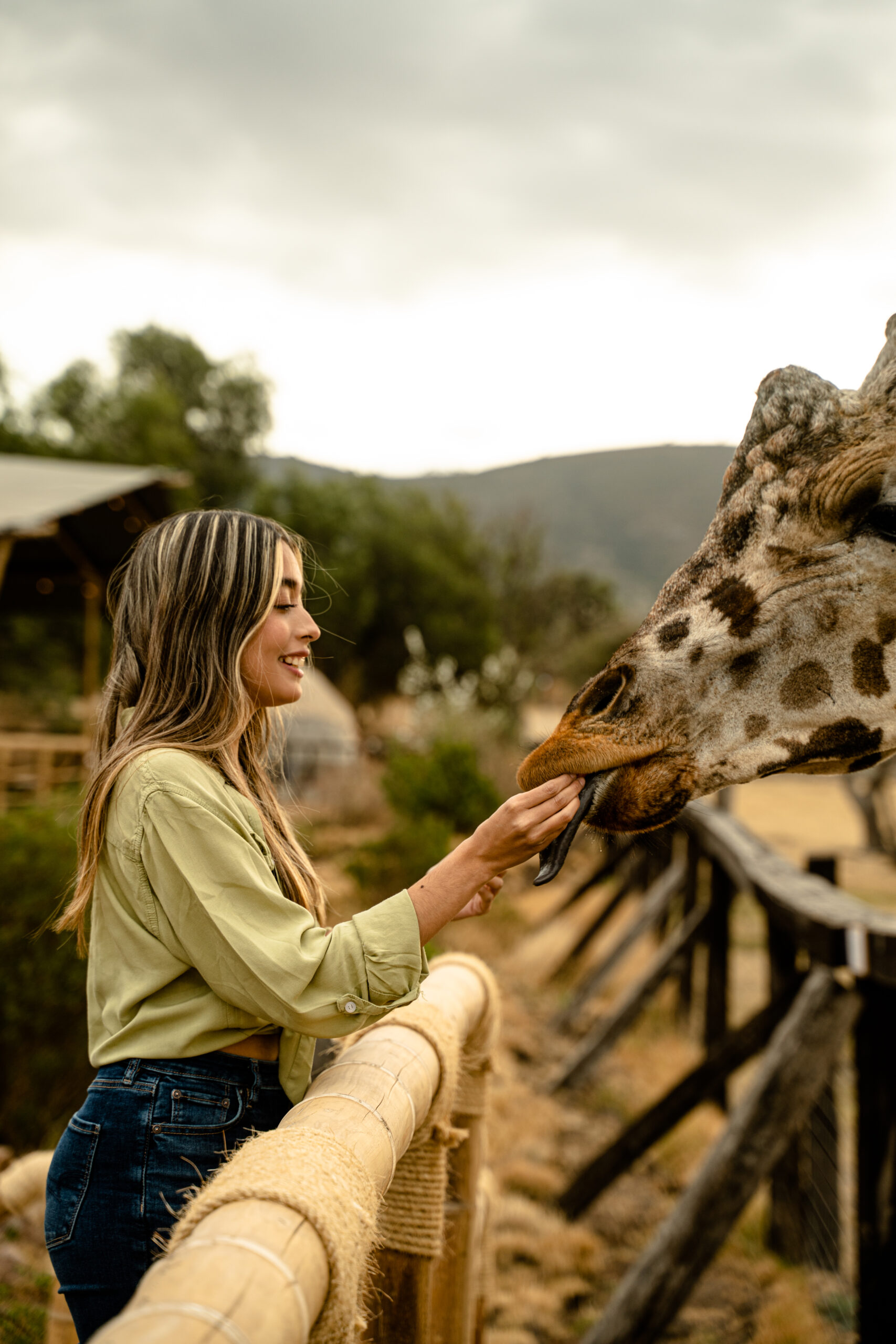 Home - Glamping Reino Animal
